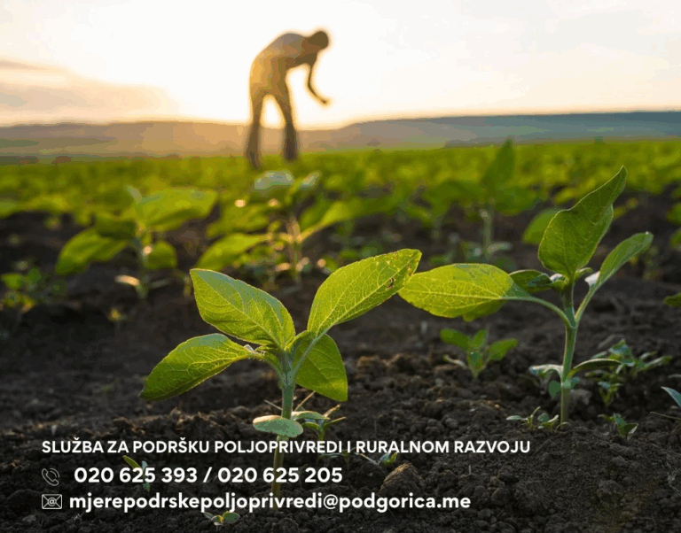 Naslovna | Glavni grad Podgorica